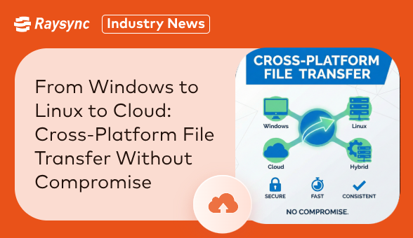 Why Raysync Delivers True Cross-Platform File Transfer Without Compromise